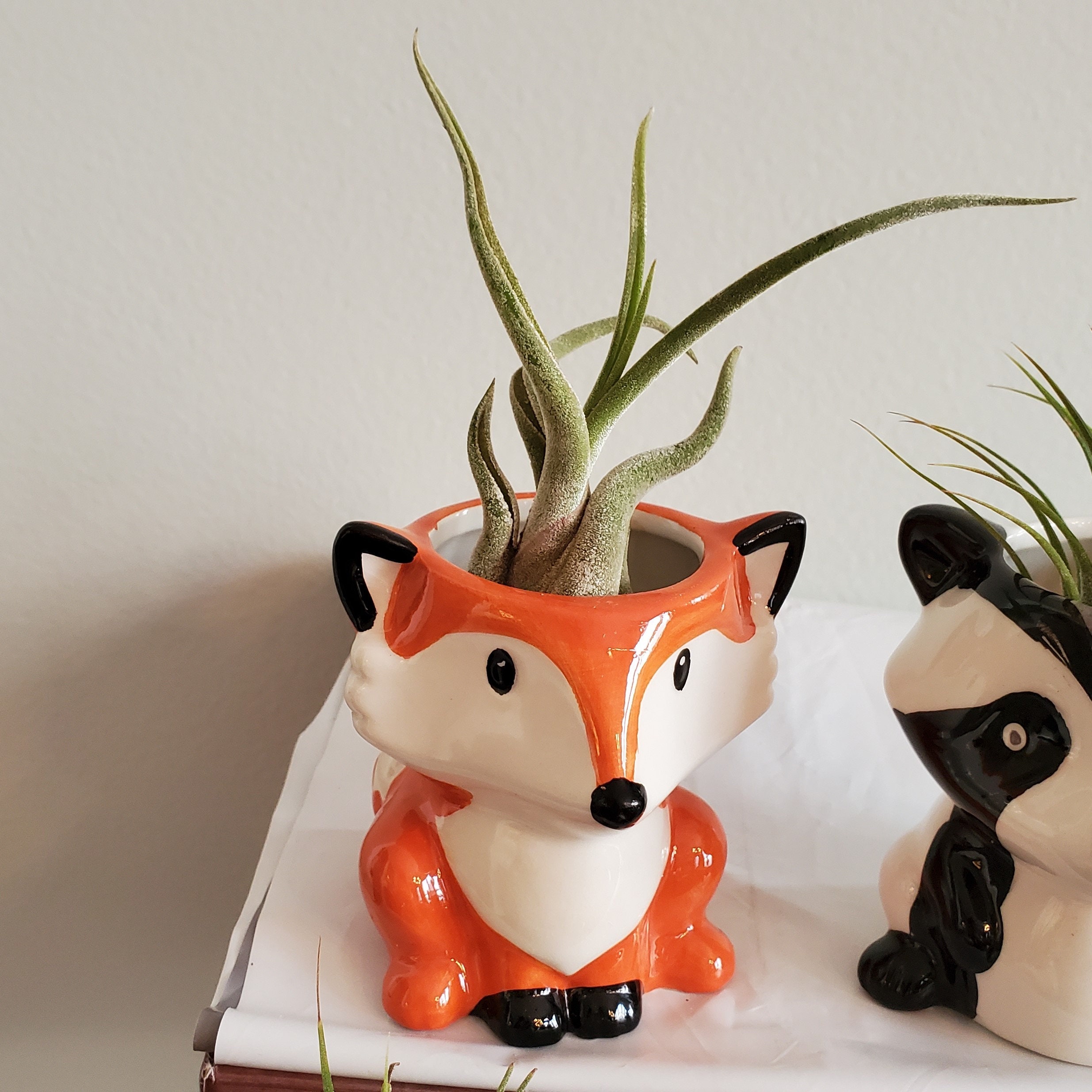 Fox Planter With Air Plant Animal Planter Air Plant Gift for - Etsy