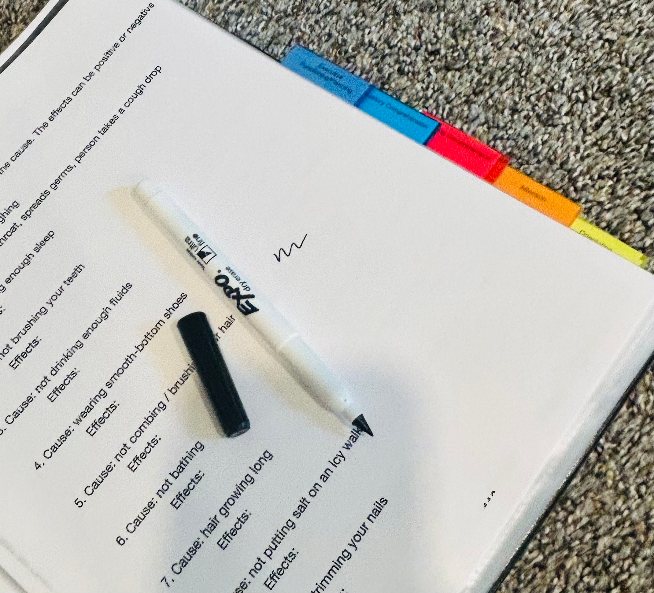 The Ultimate SNF SLP Cognitive-linguistic Binder - Etsy