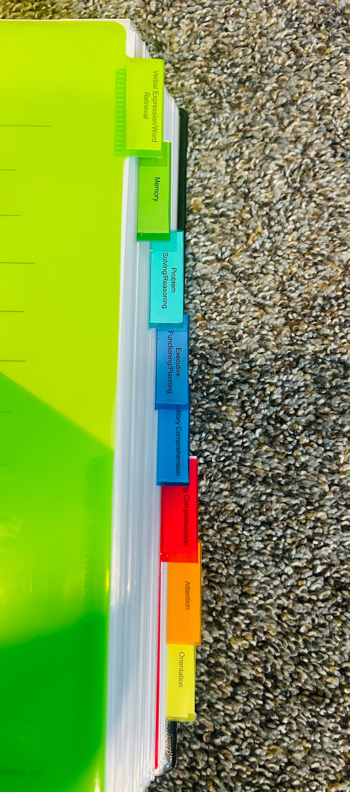 The Ultimate SNF SLP Cognitive-linguistic Binder - Etsy
