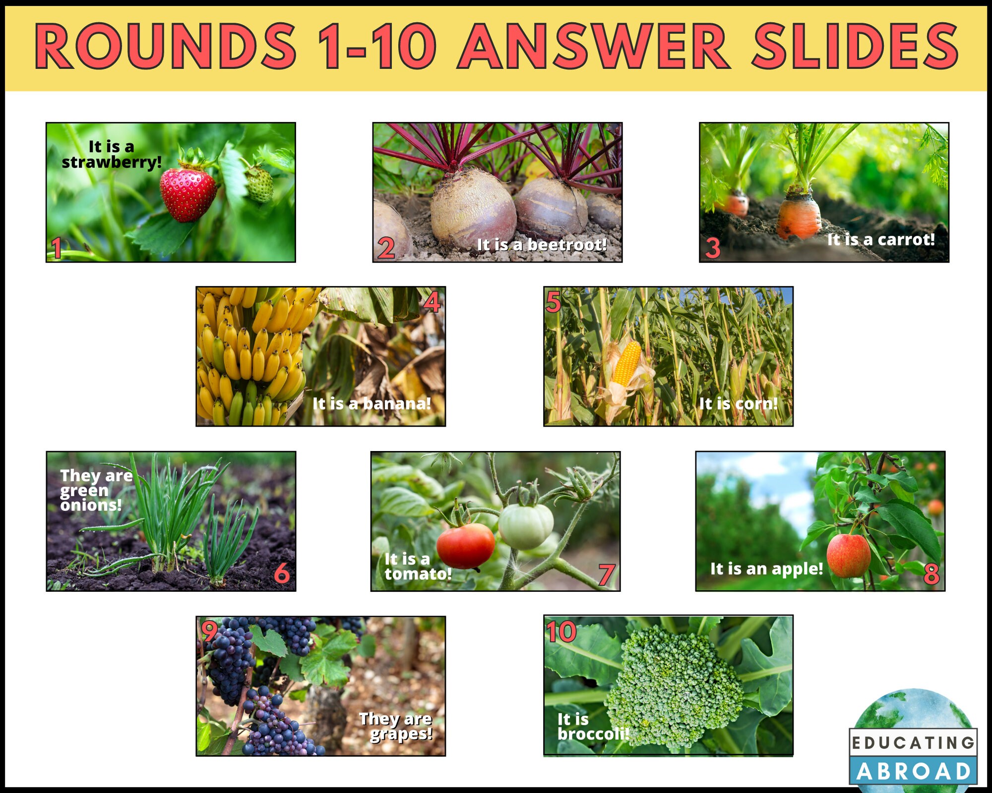 Healthy Eating Game: Kids Classroom Activity (digital Download) - Etsy