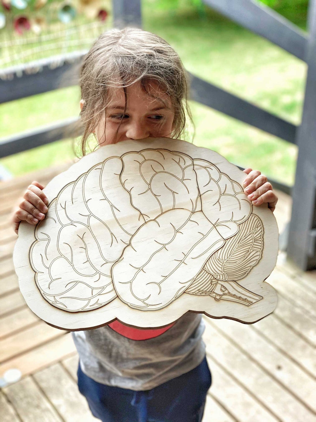 The Brain Learn About the Lobes and Functions of the Brain in This ...