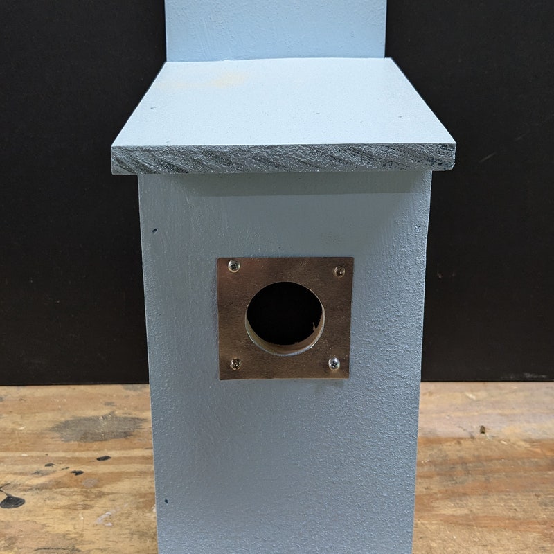 Bird House Predator Guard - Etsy