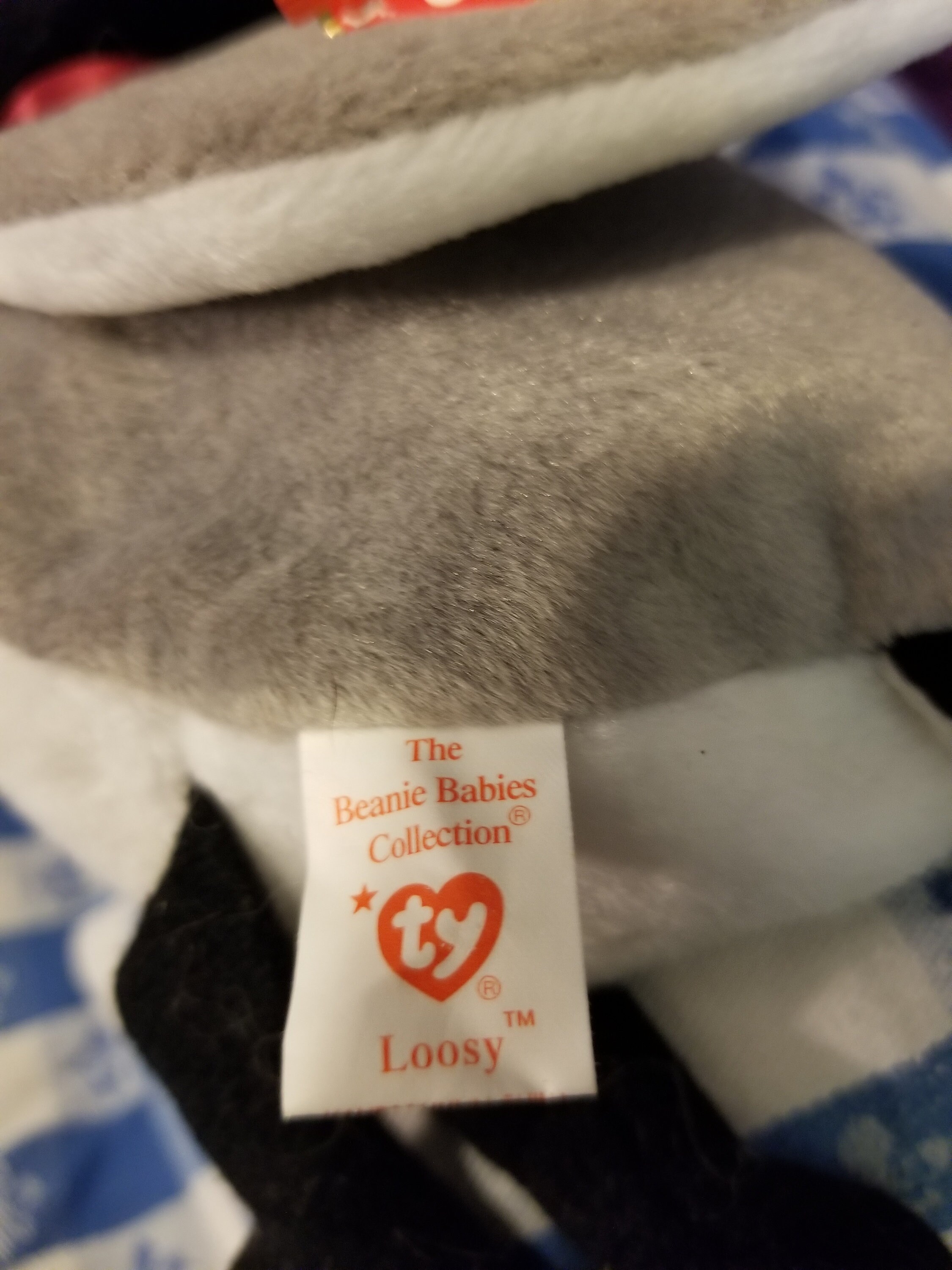 1998 vintage TY Beanie Baby Loosy - Etsy France
