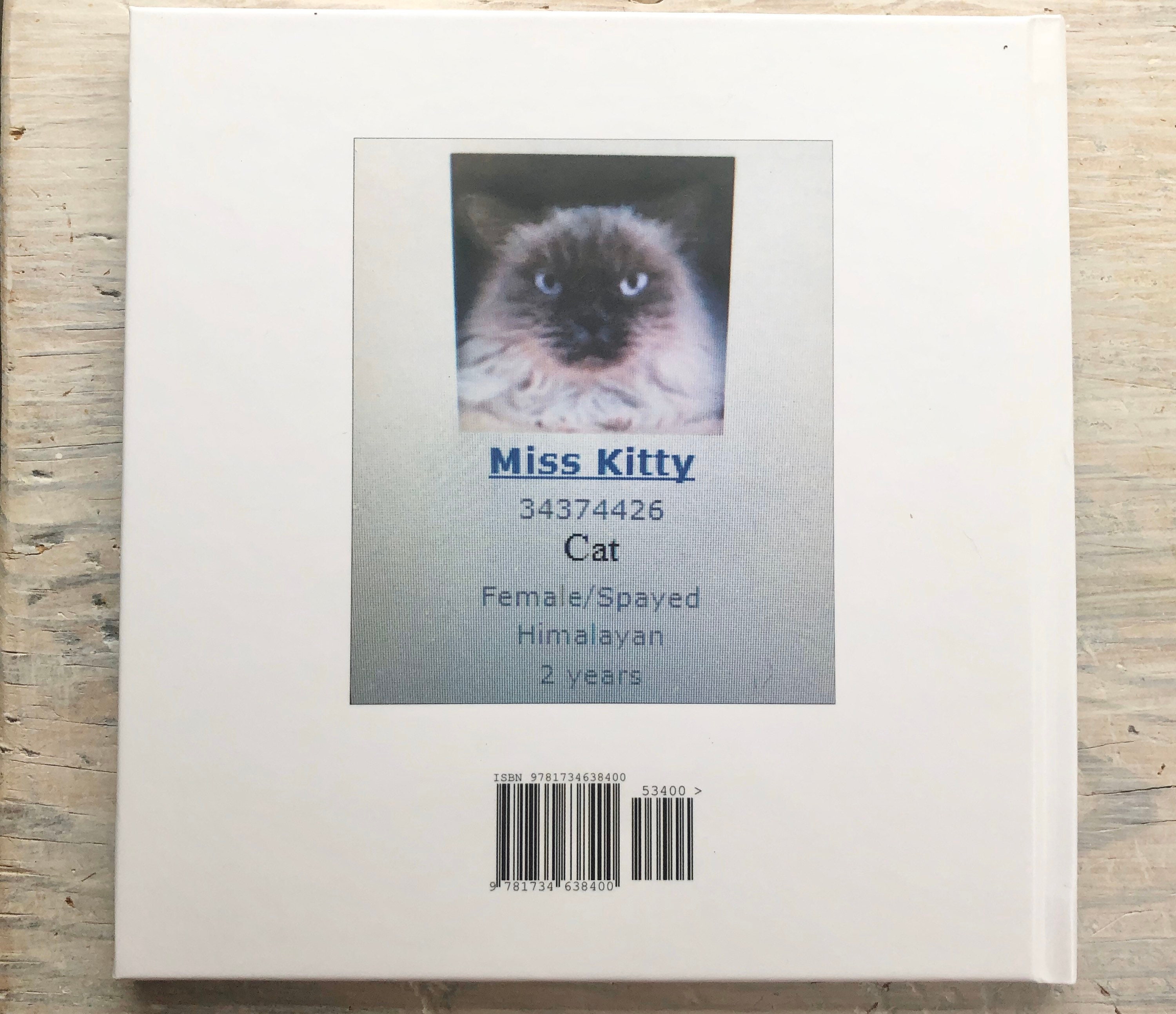 Miss Kitty Jupiter Childrens Book Collector's Edition - Etsy