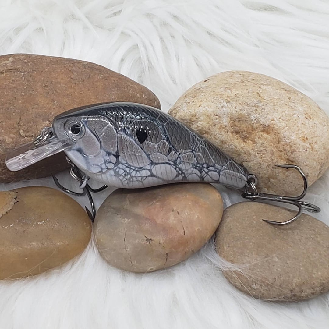 Cracked Natural Shad. Custom Painted Crankbait Fishing Lure. Bass ...