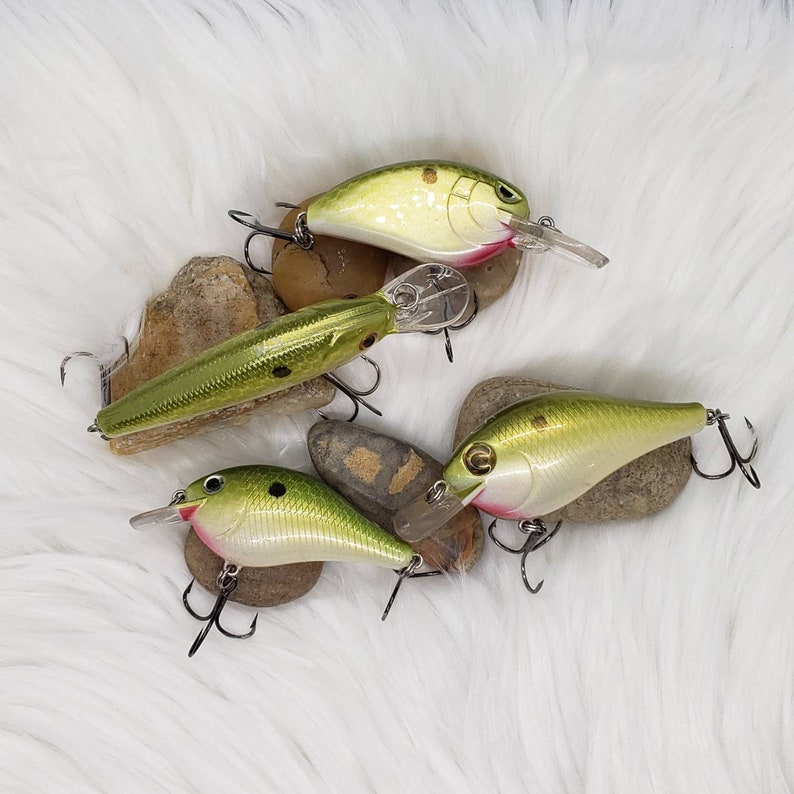 Tennessee Shad Crankbait Bass Fishing Custom Fishing Lures. - Etsy