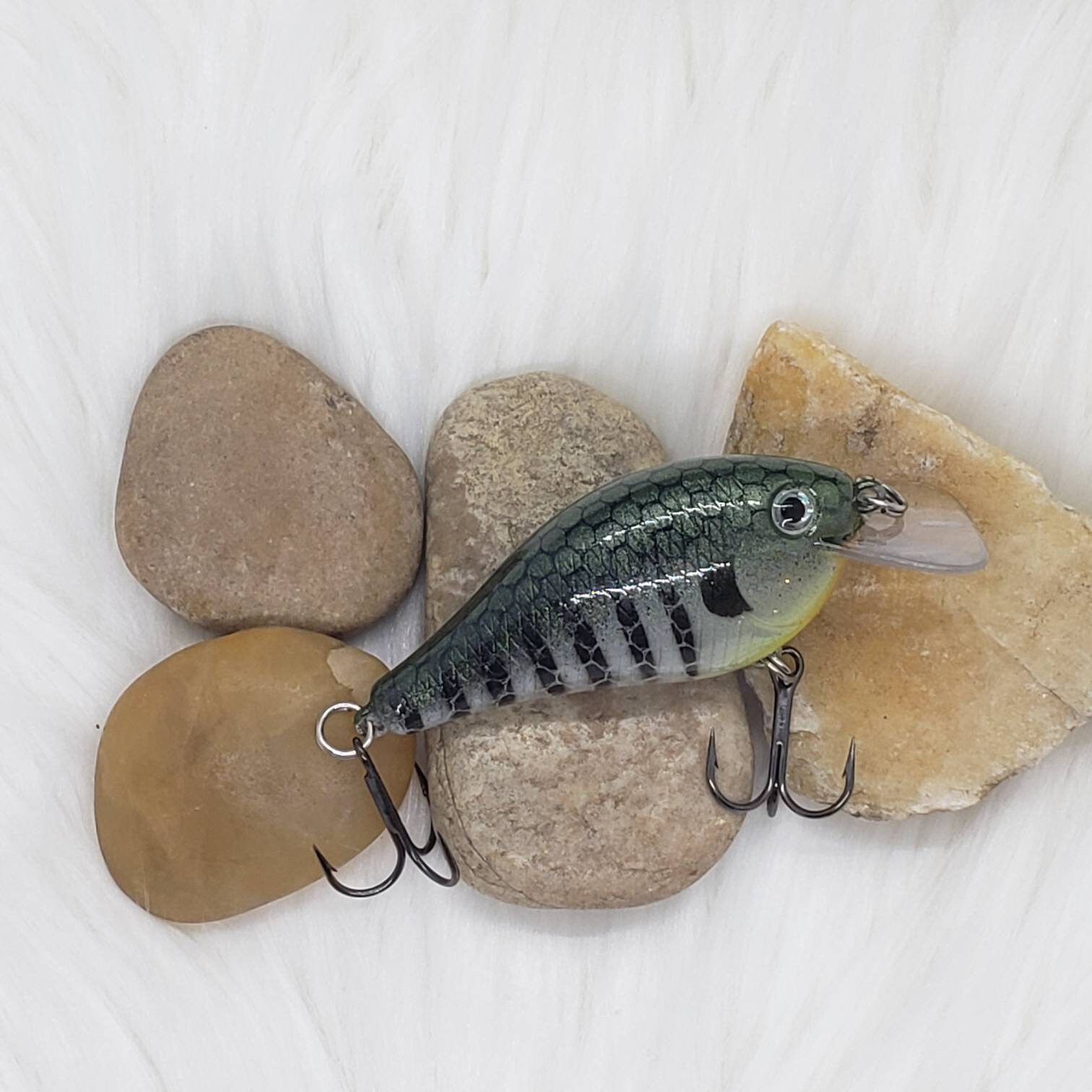 Spring bluegill crankbait Custom fishing lure. Deep diver - Etsy Nederland