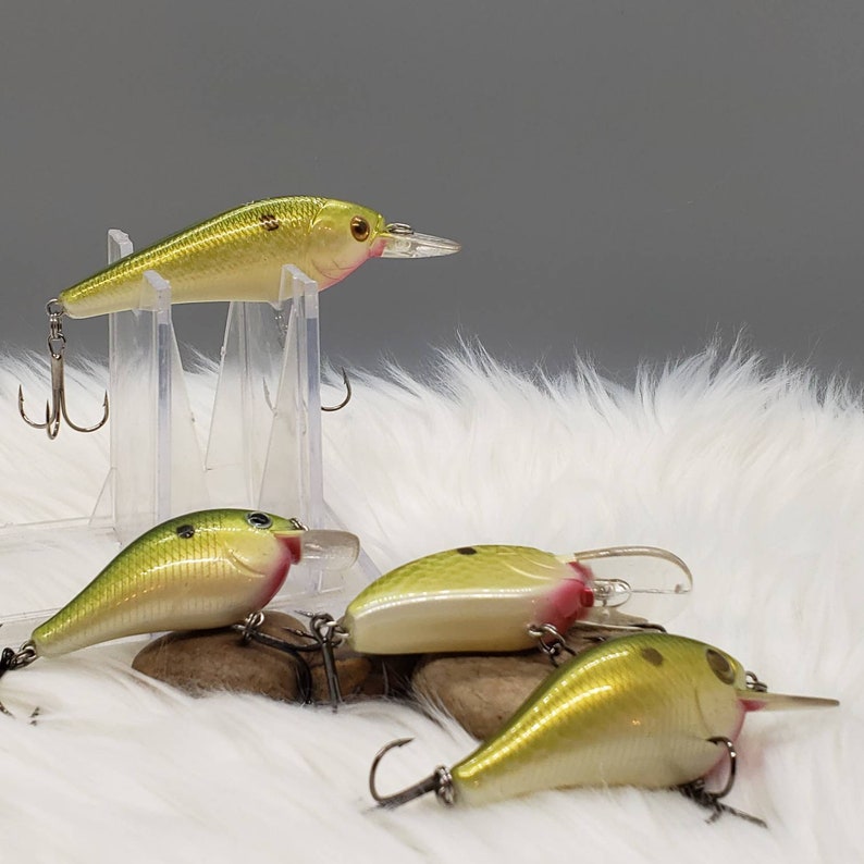 Tennessee Shad Crankbait, Bass Fishing, Custom Fishing Lures. Gifts for ...