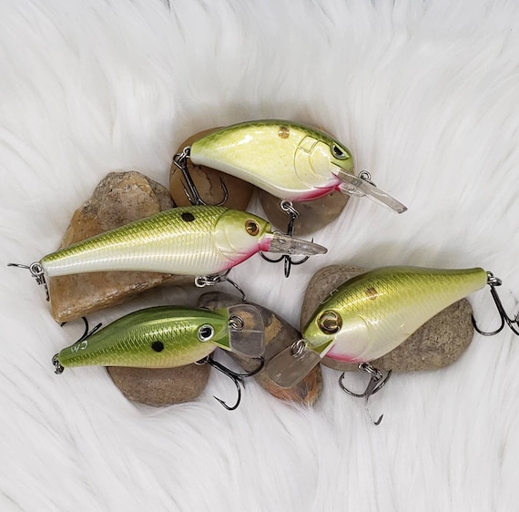 Tennessee Shad Crankbait Bass Fishing Custom Fishing Lures. - Etsy