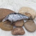 Cracked Natural Shad. Custom Painted Crankbait Fishing Lure. Bass ...