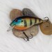 Summer Bluegill Crankbait Bass Fishing Lure. Square Bill, Deep Diver ...