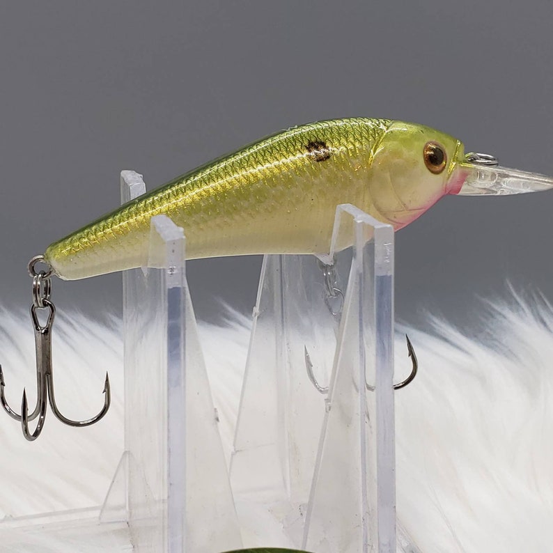 Tennessee Shad Crankbait Bass Fishing Custom Fishing Lures. - Etsy