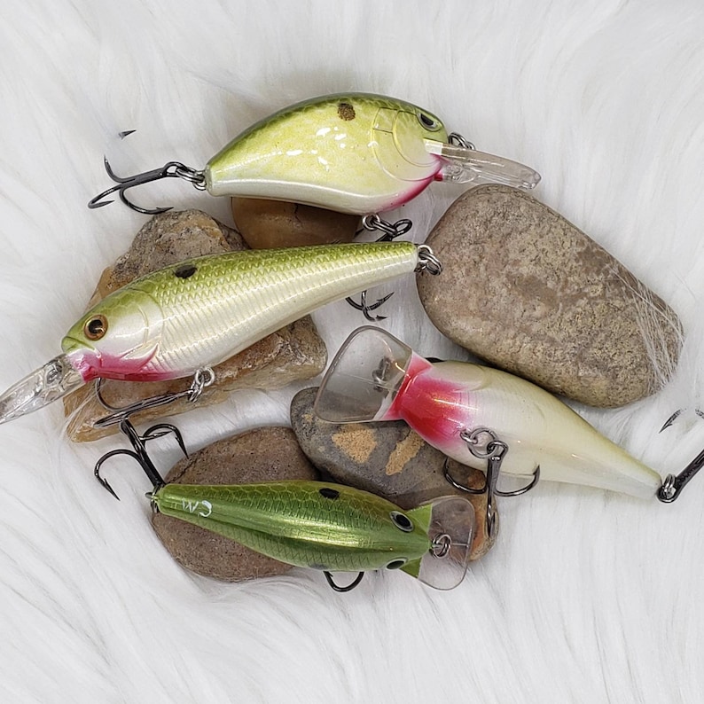 Tennessee Shad Crankbait Bass Fishing Custom Fishing Lures. - Etsy