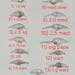 Cracked Natural Shad. Custom Painted Crankbait Fishing Lure. Bass ...
