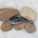 Cracked Natural Shad. Custom Painted Crankbait Fishing Lure. Bass ...
