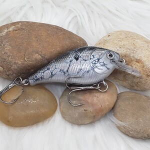 Cracked Natural Shad. Custom Painted Crankbait Fishing Lure. Bass ...
