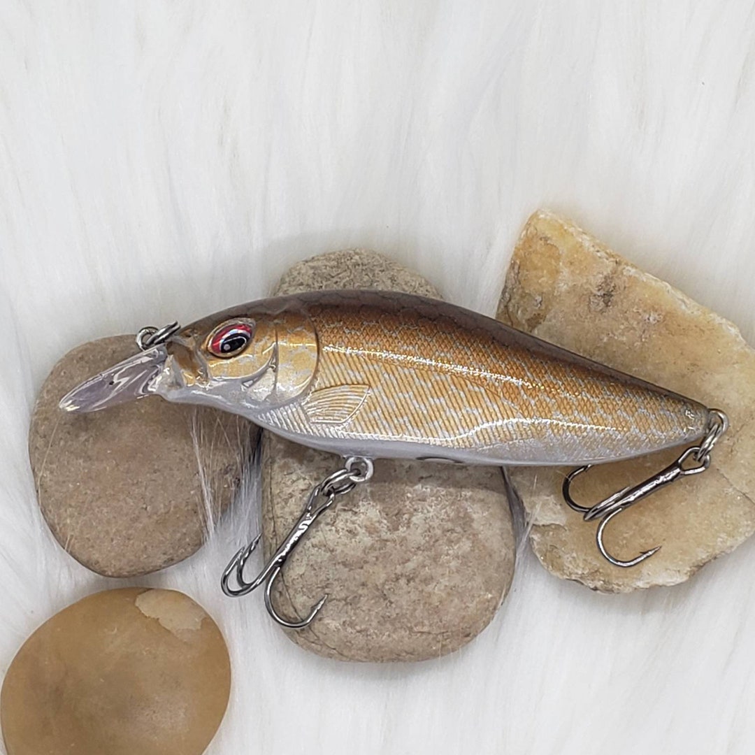 River Shad Custom Painted Crankbait Fishing Lure, Bass Fishing Lures ...