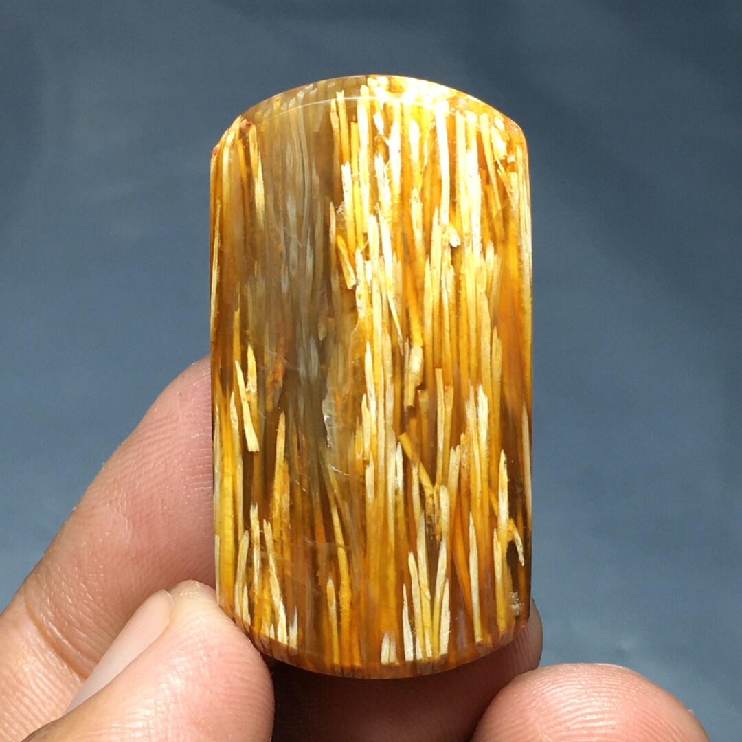 Rare Natural Agatized Petrified Palm Wood Fossil Cabochon, Petrified ...