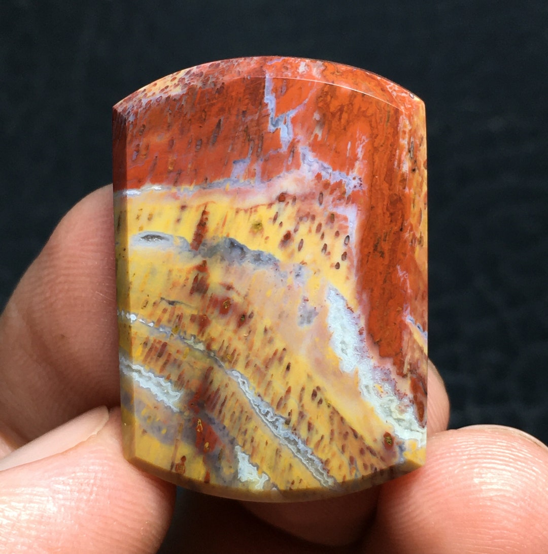 Multicolor Agatized Petrified Palm Wood Fossil Cabochon 29x20x5 Mm - Etsy