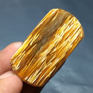 Rare Natural Agatized Petrified Palm Wood Fossil Cabochon, Petrified ...