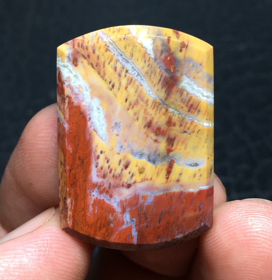 Multicolor Agatized Petrified Palm Wood Fossil Cabochon - Etsy