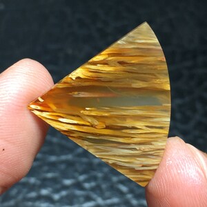 Rare Natural Agatized Petrified Palm Wood Fossil Cabochon, Petrified ...