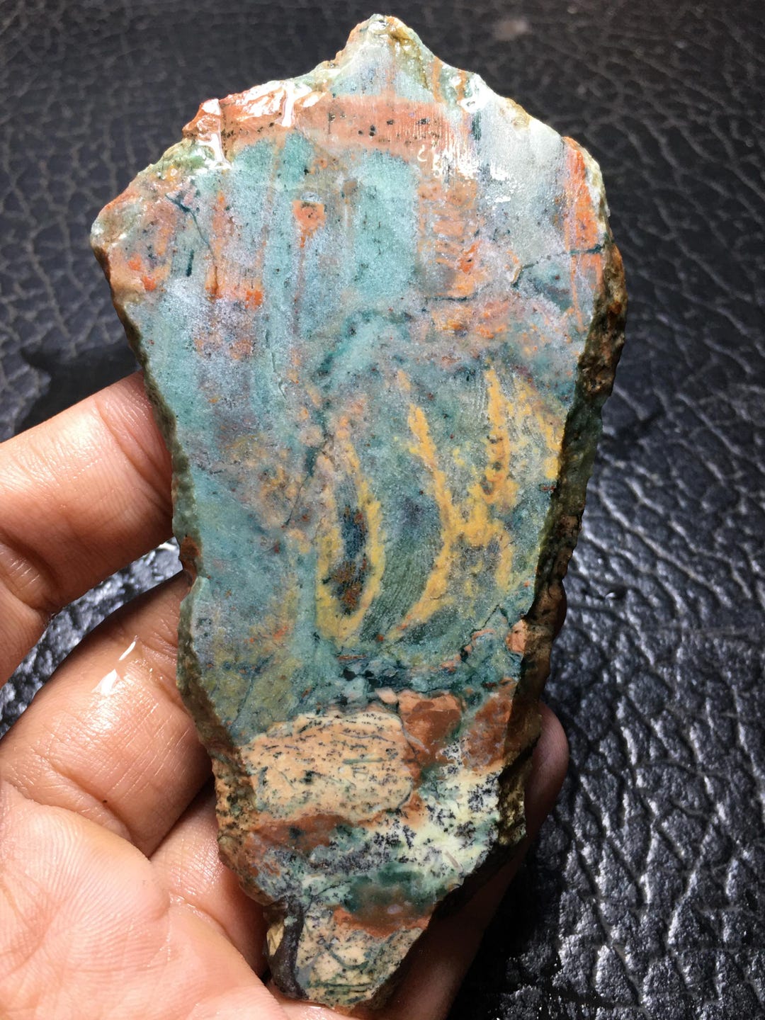 Multicolor Coral Fossil Unpolished Slab (100x50x4 Mm) - Etsy