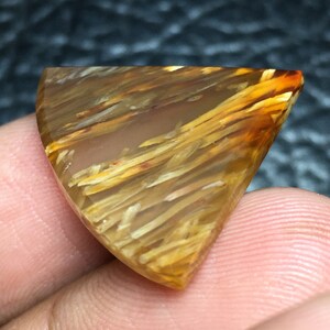 Rare Natural Agatized Petrified Palm Wood Fossil Cabochon, Petrified ...