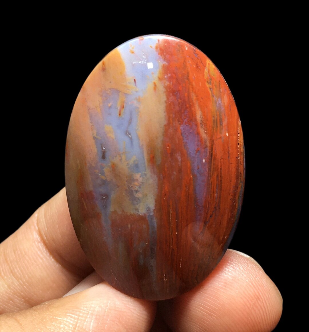 Orange Agatized Petrified Palm Wood Cabochon 35x23,5x7 Mm - Etsy