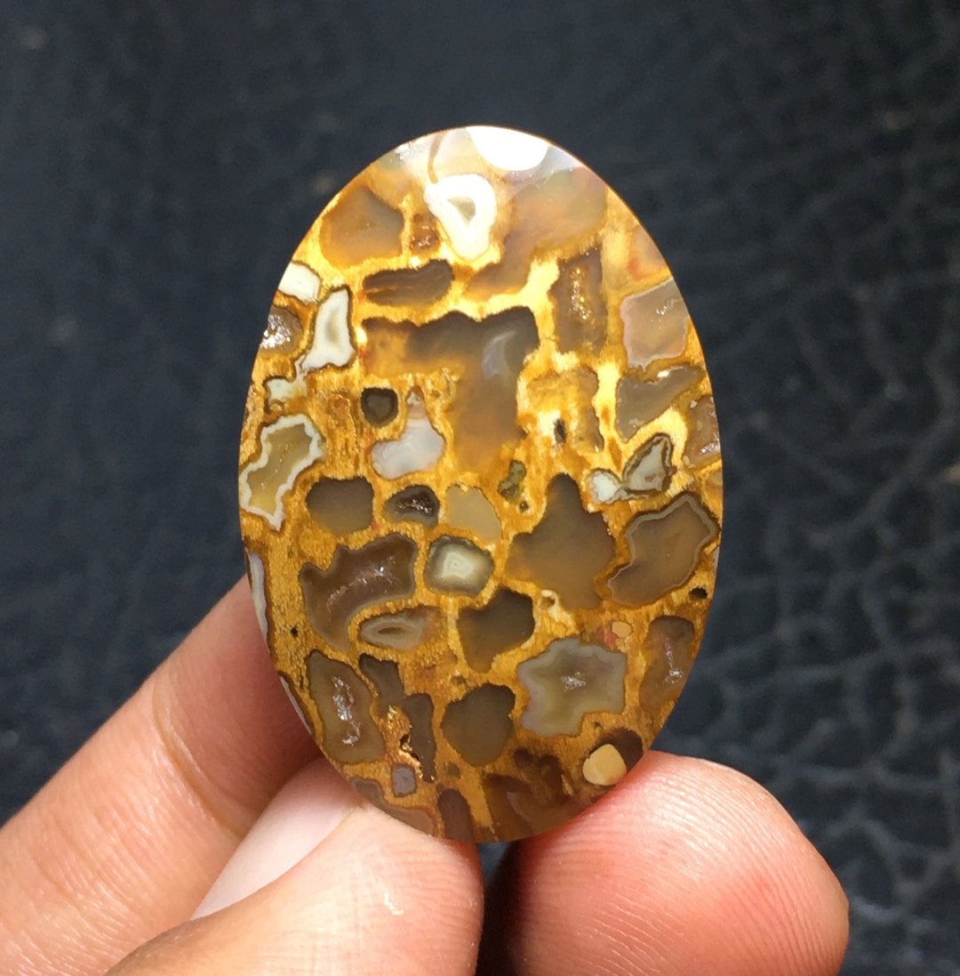 Beautiful Petrified Pockets Root Wood Cabochon, It Looks Like Gustav ...