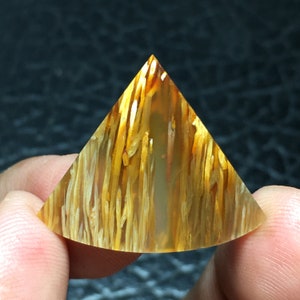 Rare Natural Agatized Petrified Palm Wood Fossil Cabochon, Petrified ...