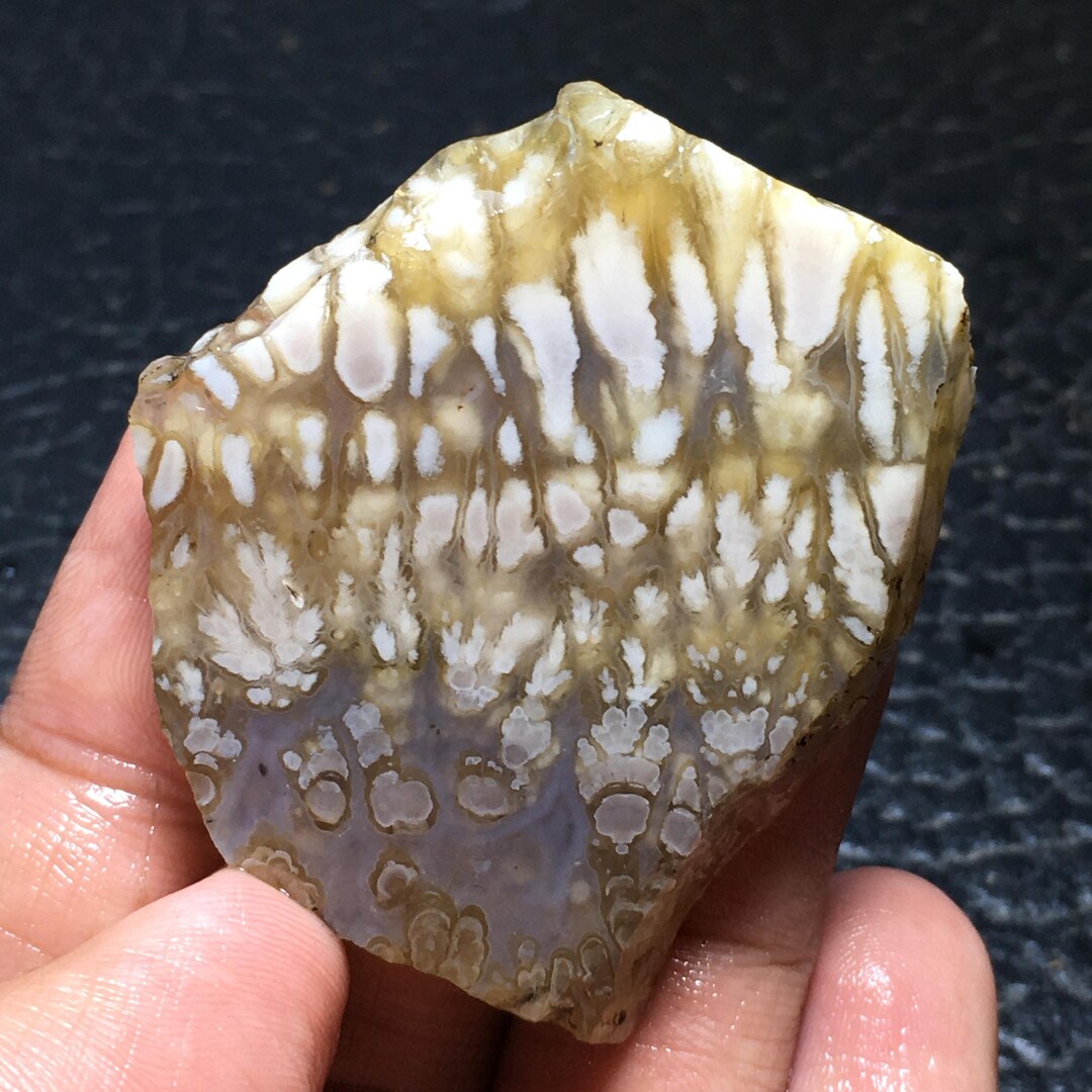 White Moss Plume Agate Unpolished Slab 47x42x7 Mm - Etsy