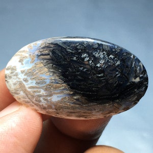 Rare Natural Agatized Petrified Palm Wood Fossil Cabochon, Petrified ...