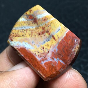 Multicolor Agatized Petrified Palm Wood Fossil Cabochon 29x20x5 Mm - Etsy