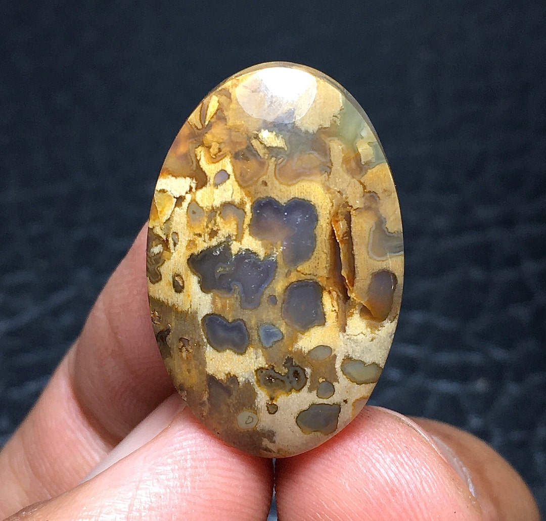 Petrified Pockets Root Wood Cabochon 26x17x6 Mm - Etsy