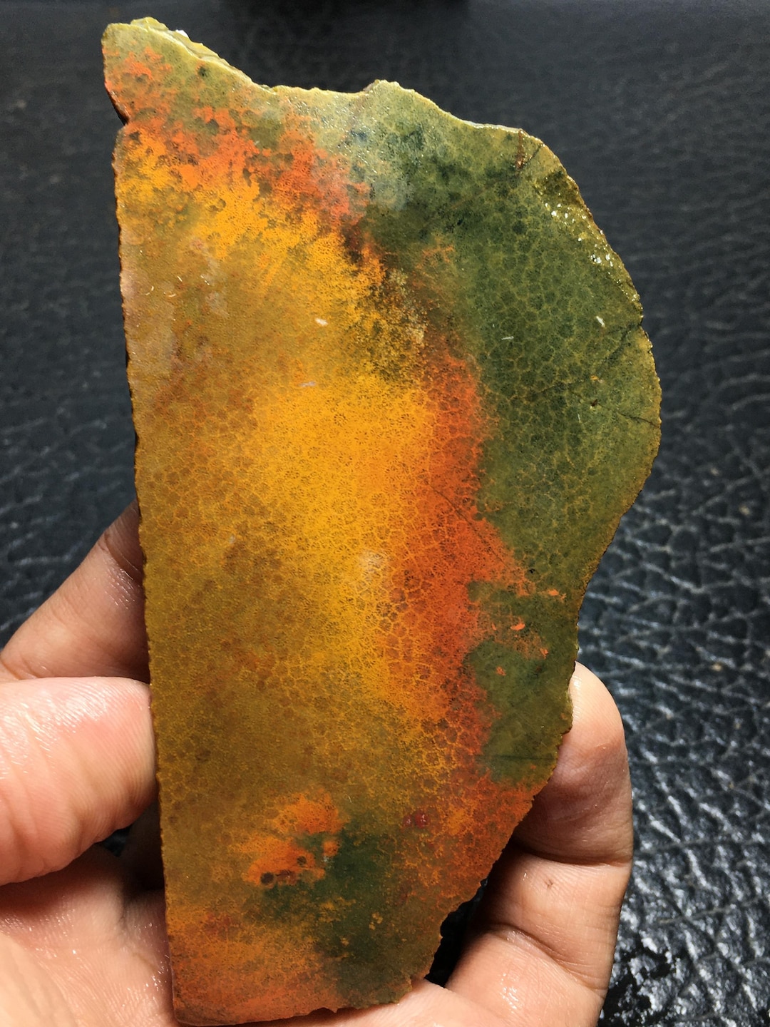 Multicolor Fossil Coral Unpolished Slab 105x55x7 Mm - Etsy
