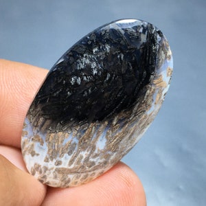 Rare Natural Agatized Petrified Palm Wood Fossil Cabochon, Petrified ...