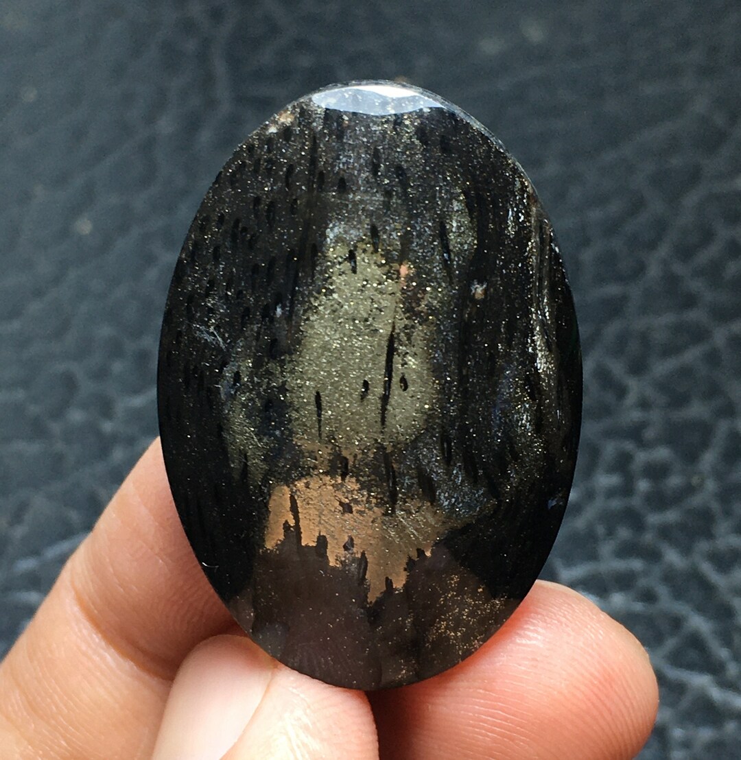 Iron Pyrite in Black Petrified Palm Wood Cabochon 36x24x6 Mm - Etsy