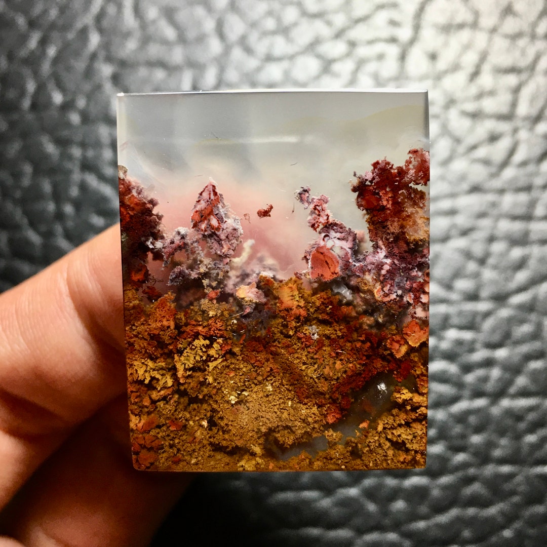 Natural Beauty Revealed Stunning Multicolor Scenic Moss Agate Cabochon ...