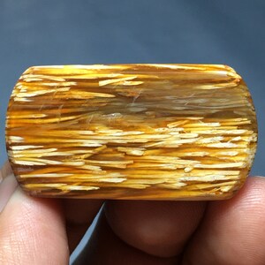 Rare Natural Agatized Petrified Palm Wood Fossil Cabochon, Petrified ...