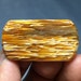 Rare Natural Agatized Petrified Palm Wood Fossil Cabochon, Petrified ...
