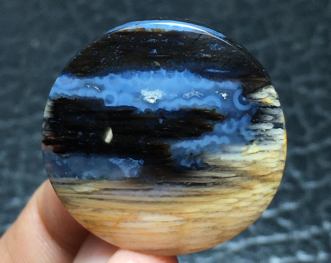 Rare Natural Agatized Petrified Palm Wood Fossil Cabochon, Scenic ...
