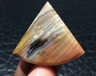 Rare Natural Agatized Petrified Palm Wood Fossil Cabochon, Scenic ...