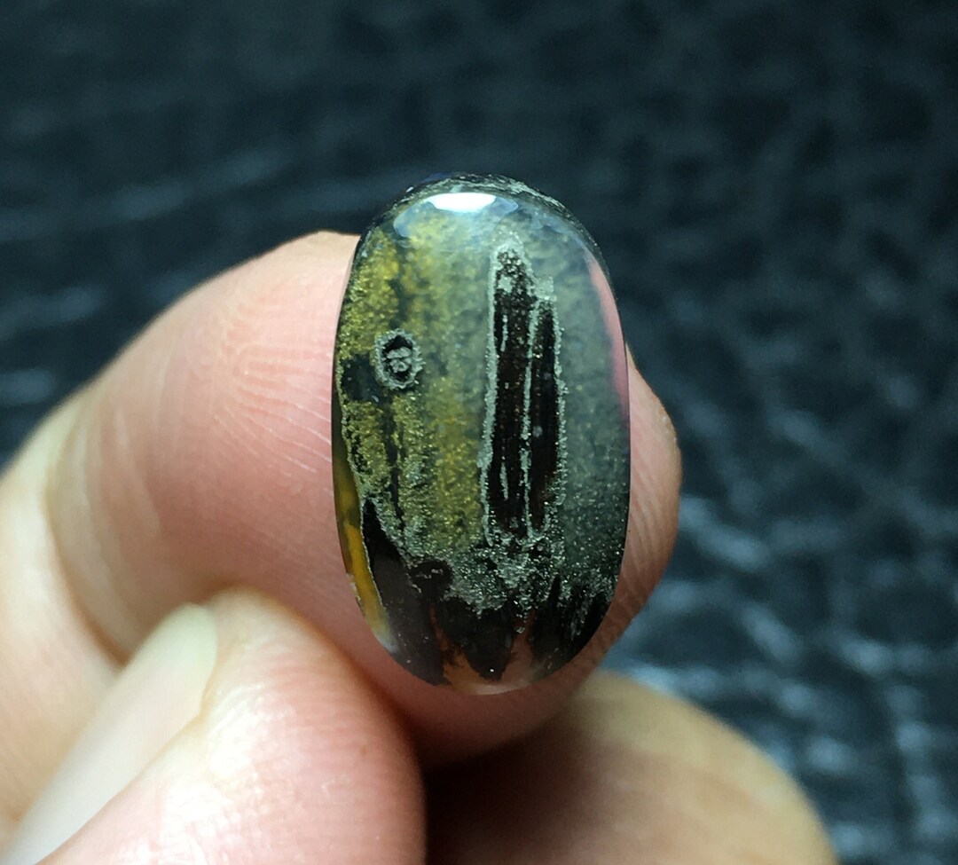 Unique Agatized Palm Wood Fossil Cabochon 15x8x4 Mm - Etsy