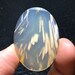 Rare Natural Agatized Petrified Palm Wood Fossil Cabochon, Petrified ...
