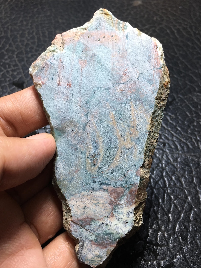 Multicolor Coral Fossil Unpolished Slab (100x50x4 Mm) - Etsy