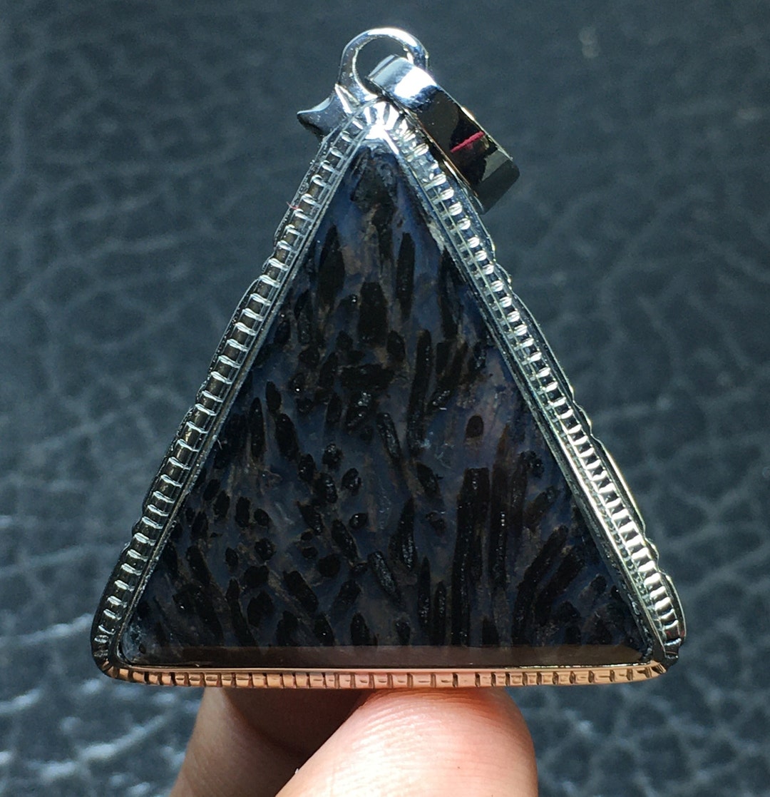 Black Agatized Petrified Palm Root Fossil Triangle Pendant 29x27x5 Mm ...