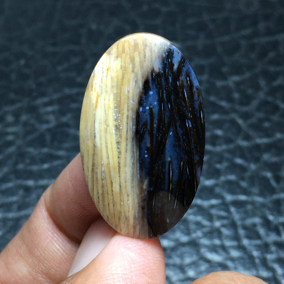 One-of-a-kind Agatized Petrified Palm Wood Cabochon, Rare Natural ...