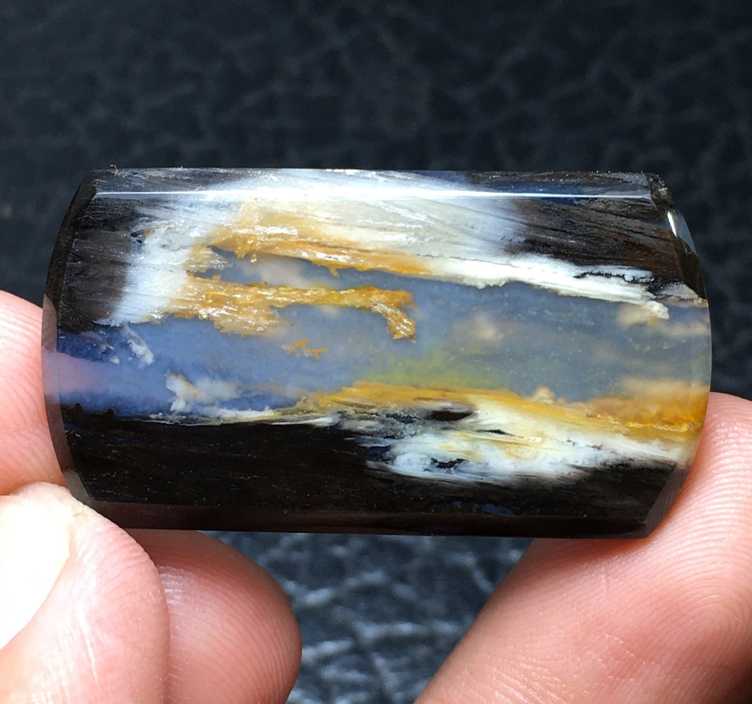 Rare Agatized Petrified Palm Wood Fossil Cabochon, Scenic Petrified ...