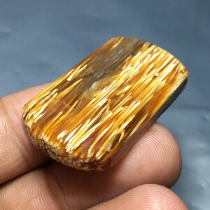 Rare Natural Agatized Petrified Palm Wood Fossil Cabochon, Petrified ...